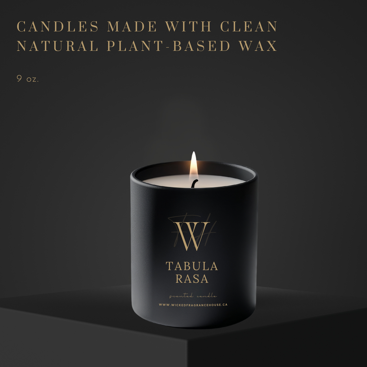 MASCULINE AND WOODSY COLLECTION DIFFUSER OIL - Wick'ed Fragrance House ...