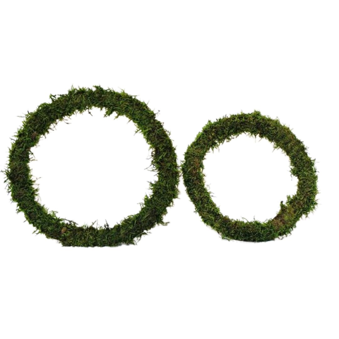 Preserved Moss Ring - Wick'ed Fragrance House – Wick'ed Fragrance House